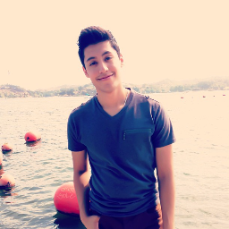 Luis Villarreal - Webflow